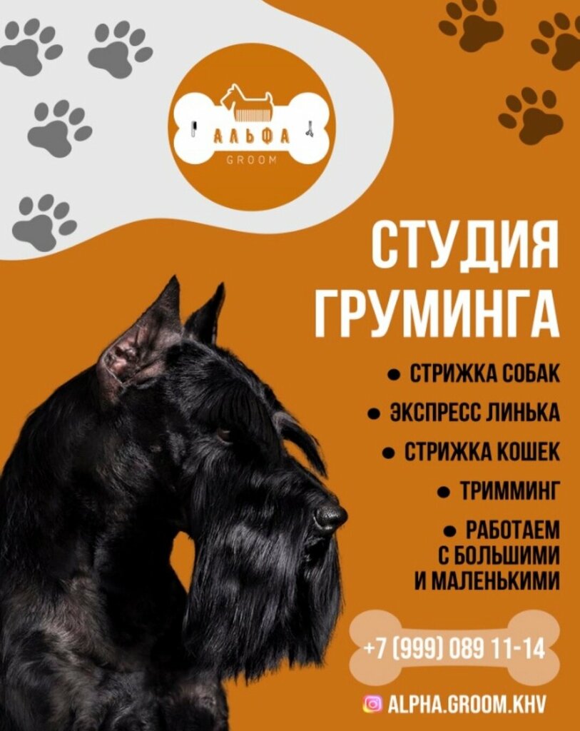 Evcil hayvan kuaförleri Альфа Грум, Habarovsk, foto