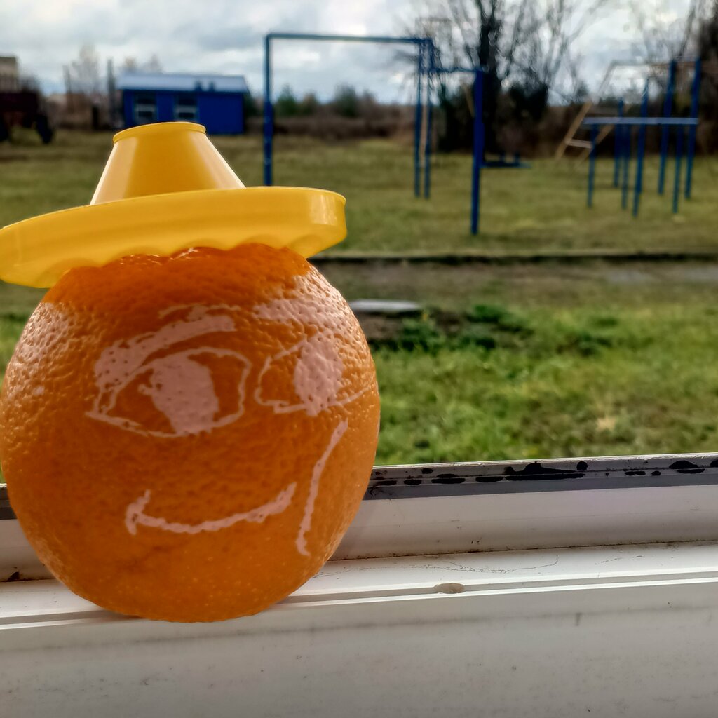 Ortaokul Левинская средняя общеобразовательная школа, Vladimirskaya oblastı, foto