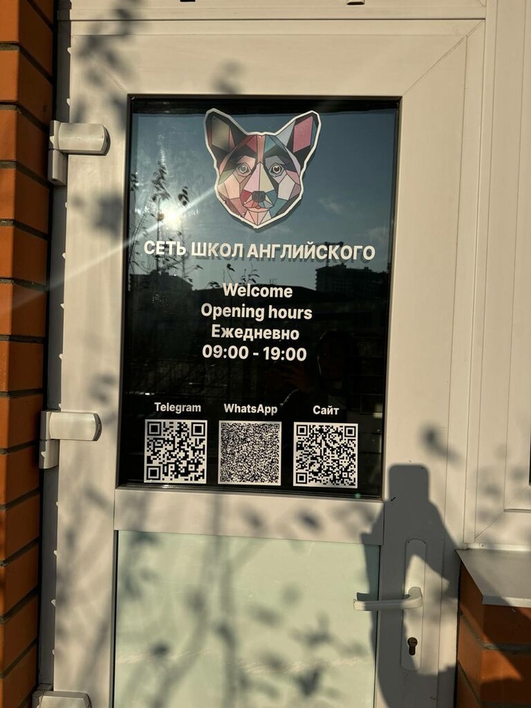 Yabancı dil kursları Lord Corgi, Krasnodar, foto