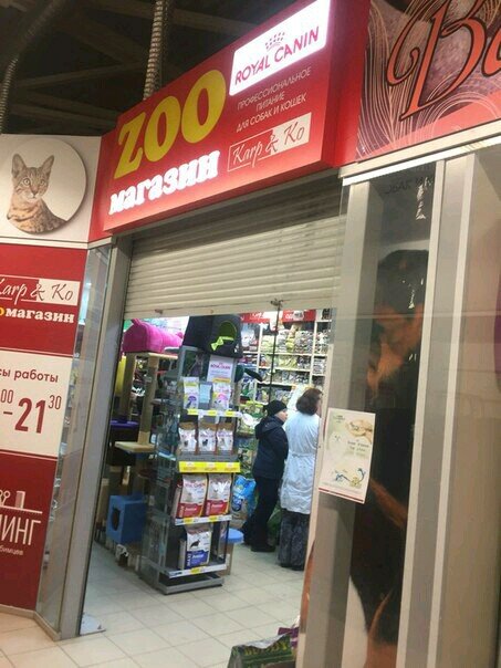 Evcil hayvan kuaförleri Gruming dlya vashikh lyubimtsev, Çeliabinsk, foto