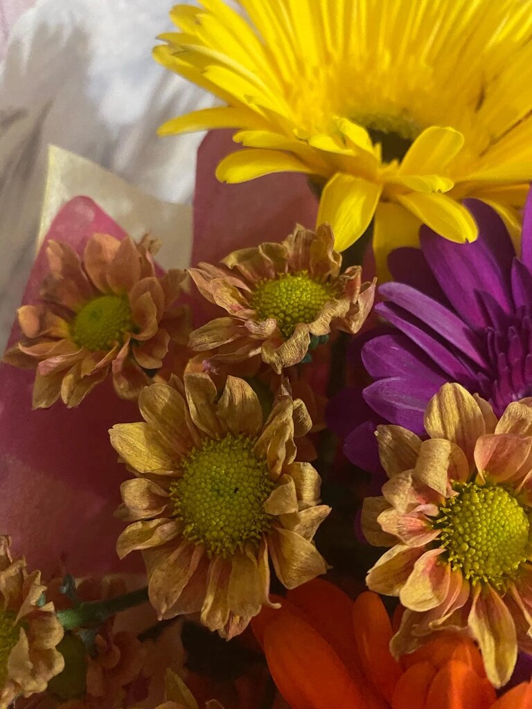 Çiçekçiler Bel Flyor, studiya tsvetov, Pskov, foto