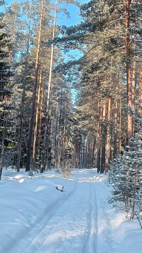 Resort oteller, tesisler Petrovskoye House, Saint‑Petersburg ve Leningradskaya oblastı, foto