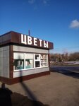 Цветы (Tambov Region, Michurinsk, Avtozavodskaya ulitsa), çiçekçiler  Miçurinsk'ten