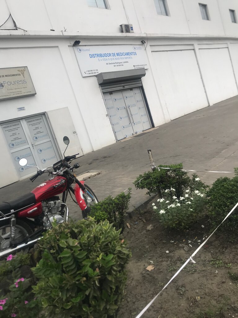 Medikal ürün mağazası Distribuidor De Medicamentos, Loanda, foto