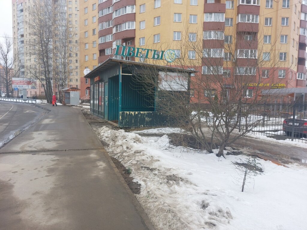 Çiçekçiler Цветы 24 часа, Murino, foto