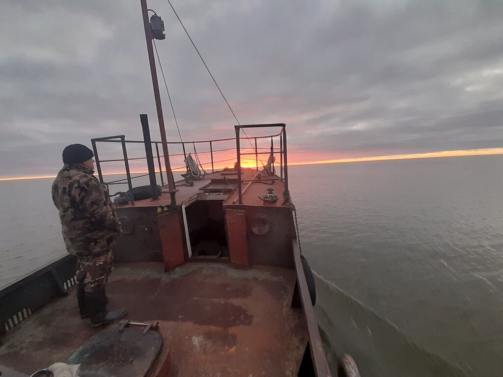 Balık ve deniz ürünleri Труженик Моря, Kaliningradskaya oblastı, foto
