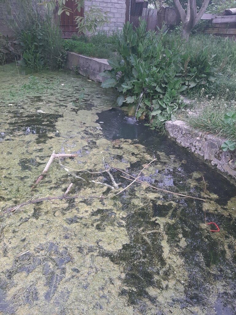 Pınar, çay Spring, stream, Sevastopol, foto