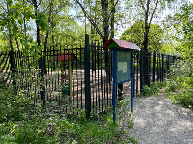 Köpek gezdirme alanları Dog park, Moskova, foto