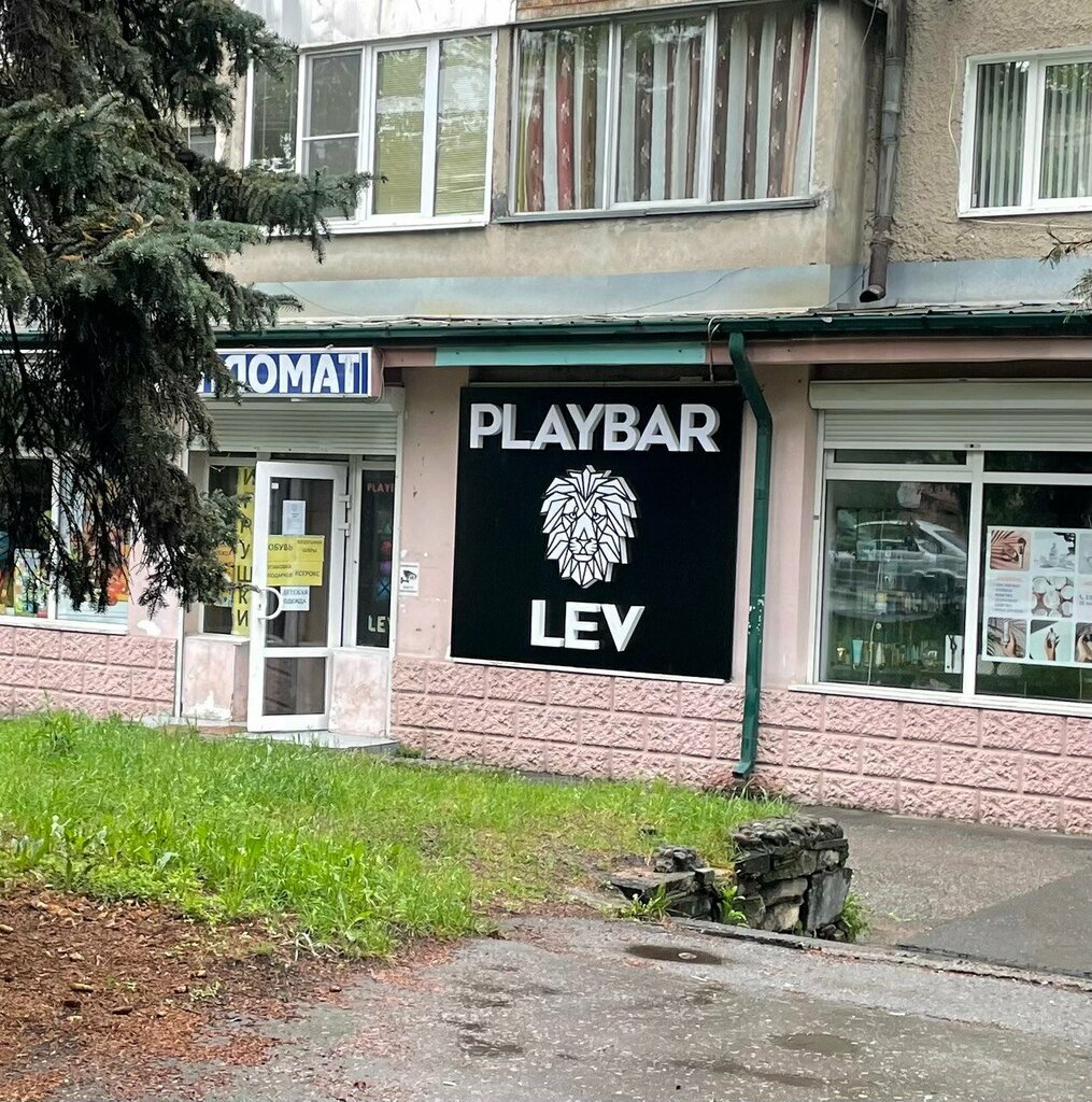 Oyun salonları Lev, Vladikavkaz, foto