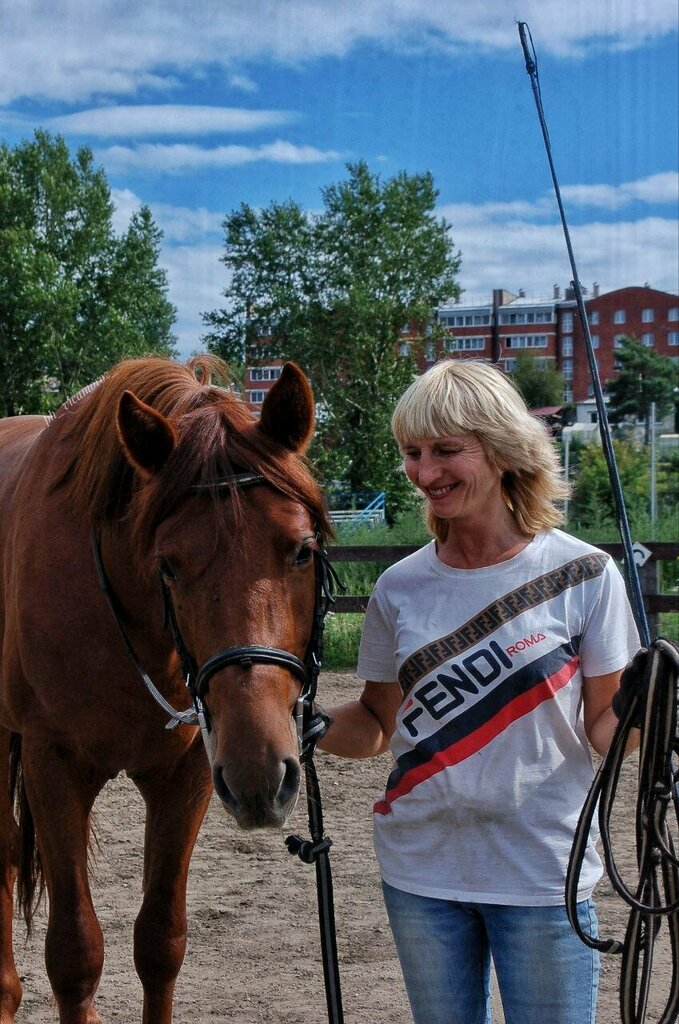 At ve binicilik kulüpleri Equestrian Clud Phoenix, Irkutsk, foto