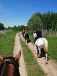 Конюшня ФГБУ НП Марий Чодра (ulitsa Krupskoy No:33, posyolok gorodskogo tipa Krasnogorskiy), at ve binicilik kulüpleri  Mariy El'den