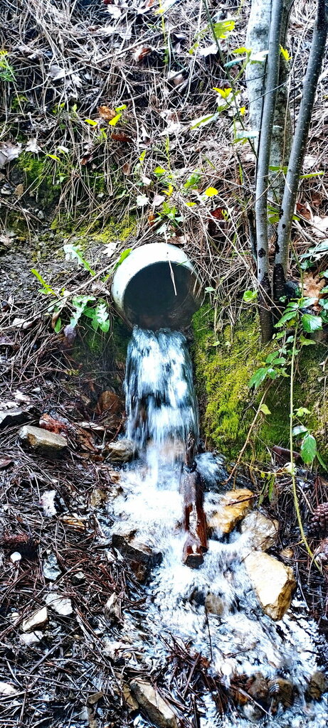 Pınar, çay Spring, stream, Kırım Cumhuriyeti, foto