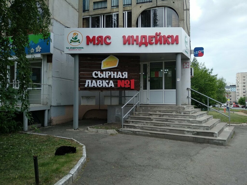Kanatlı hayvan ürünleri ve yumurta Индючонок, Izhevsk, foto