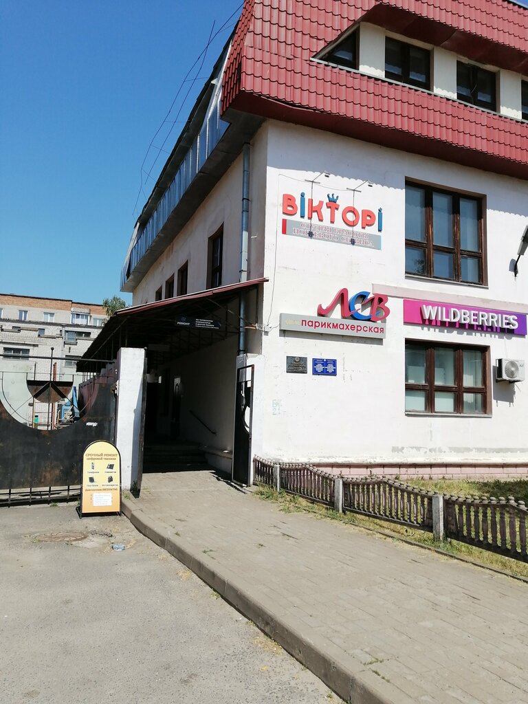 Bilgisayar teknik servisleri Ремонт цифровой техники, Moguilev, foto