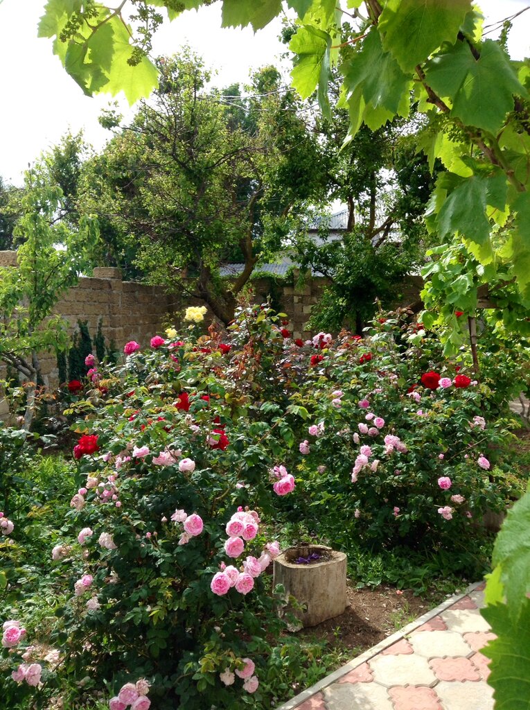 Otel Yusupov Inn, Kırım Cumhuriyeti, foto