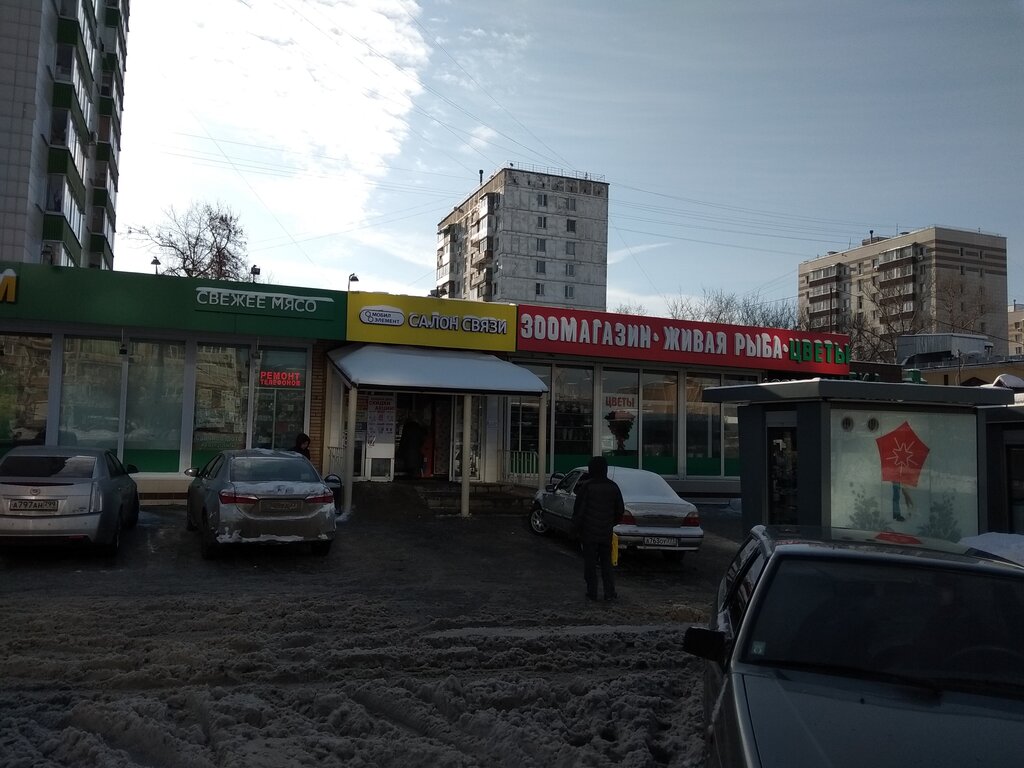 Çiçekçiler Magazin tsvetov, Moskova, foto