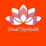 Umut Çiçekçilik Hendek (Başpınar Mah., Şehit Ali Gaffar Okkan Cad., No:45, Hendek, Sakarya), çiçekçiler  Hendek'ten
