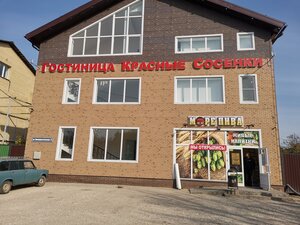 Красные Сосенки (Kommunisticheskaya ulitsa No:27), otel  Teykovo'dan