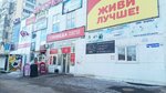 Zoomarket Bravo (70 Let Oktyabrya Street No:15Б), petshop  Tolyatti'den (Togliatti'den)