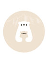 My White Bear (Pochtovaya Street No:8А), profesyonel fotoğraf stüdyosu  Solneçnogorsk'tan
