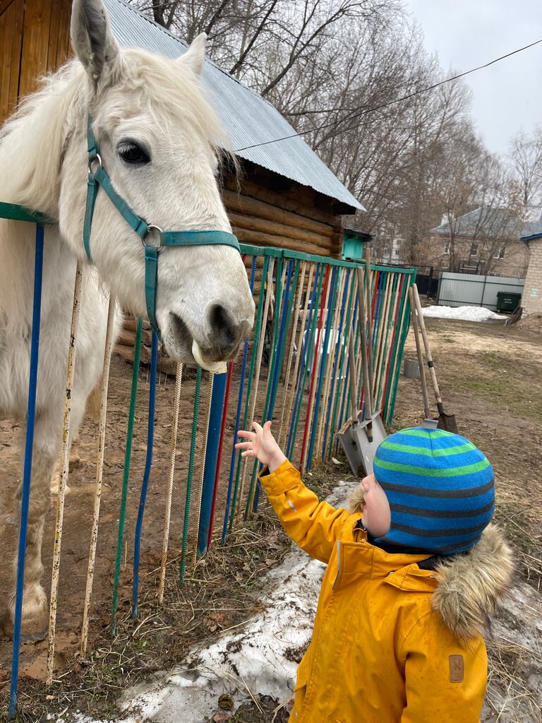 Çocuk gelişim merkezleri Tsentr lechebnoy pedagogiki i differentsirovannogo obucheniya Doshkolnoye otdeleniye, Kazan, foto