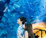 Star Atrium (19/6G, Mohammed Bin Rashid Boulevard, Downtown Dubai, Dubai), sahne