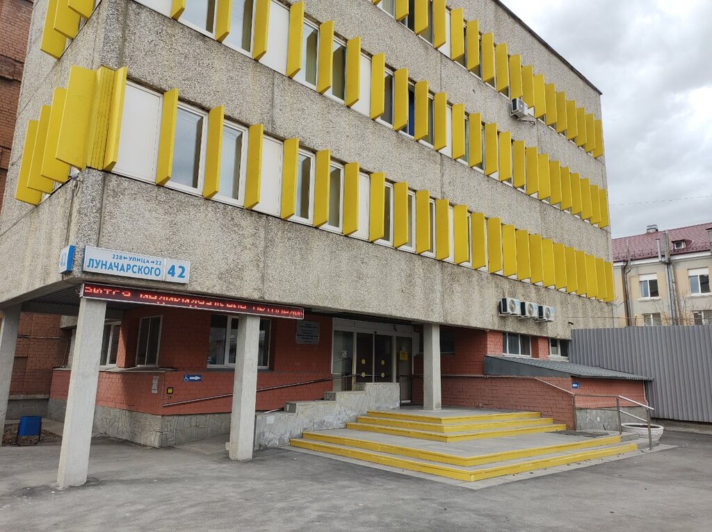 Protez yapımı Ортодог. Ортопедия для животных, Yekaterinburg, foto