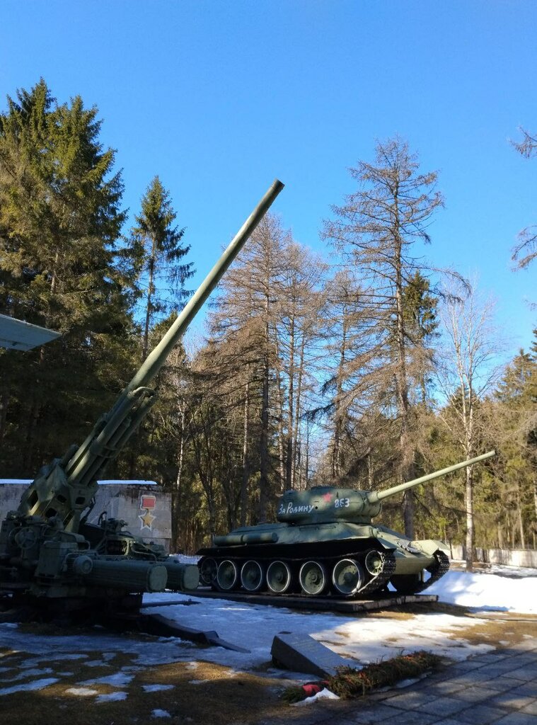 Teknoloji anıtı Самолет, танк Т-34-85 и зенитное орудие, Krasnoye Selo, foto
