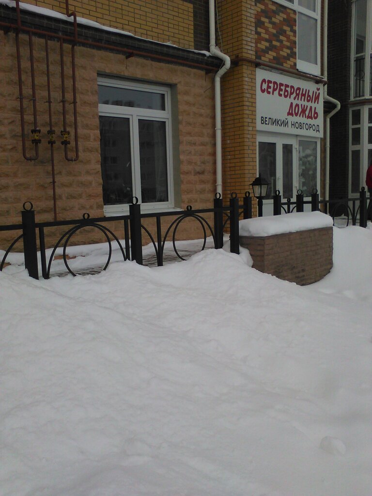 Radyolar Serebryany Dozhd, Velikiy Novgorod, foto