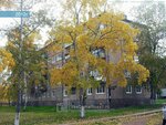 Trash and garbage disposal area (Irkutsk Region, Bratsk, zhiloy rayon Tsentralny, 10th Microdistrict), çöp alanları  Bratsk'tan