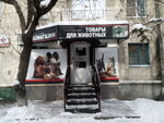 Tovary dlya zhivotnykh (ulitsa Gubkina No:15), petshop  Volgograd'dan