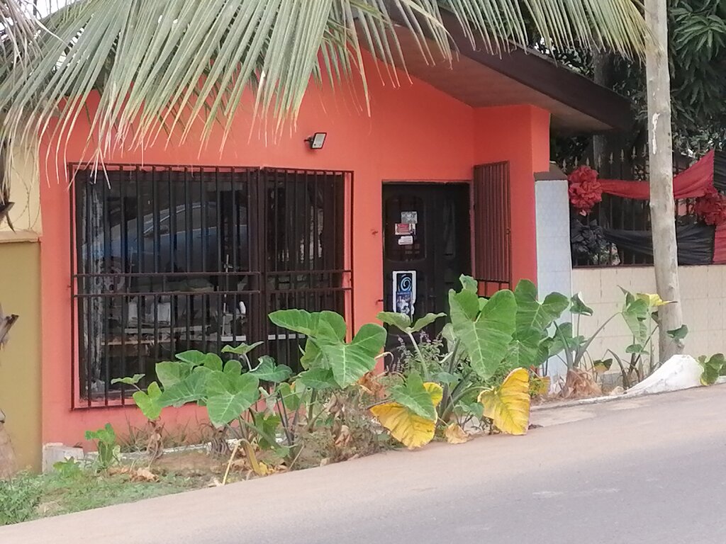 Terziler Fashion Dairy, Dünya, foto