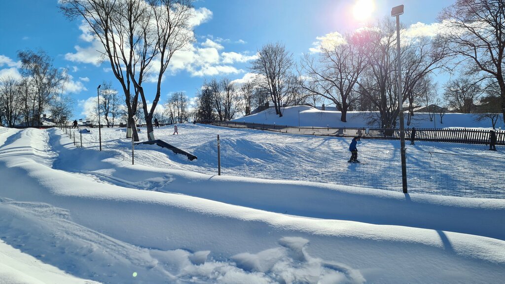 Kış ürünleri Snegopad, Pskov, foto