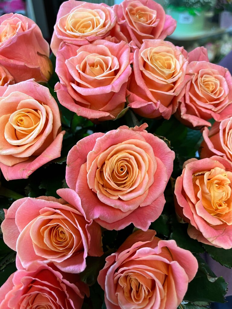 Çiçekçiler Мир цветов, Roslavl, foto