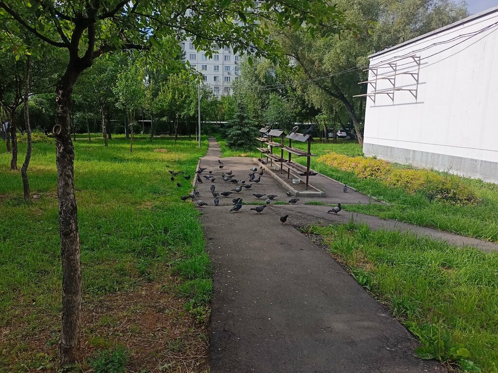 Meydan V Gostyakh U Golubey Public Garden, Moskova, foto