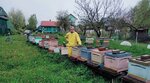 Nikitsky med (Krasivaya ulitsa No:22, derevnya Nikity), bal ve arıcılık firmaları  Moskova ve Moskovskaya oblastından