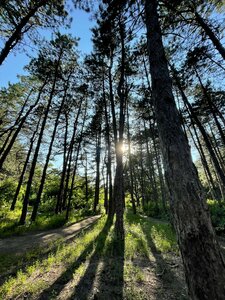 Тихая сопка (Rostov-on-Don, Sosnovy bor), dağ zirvesi  Rostov‑na‑Donu'dan