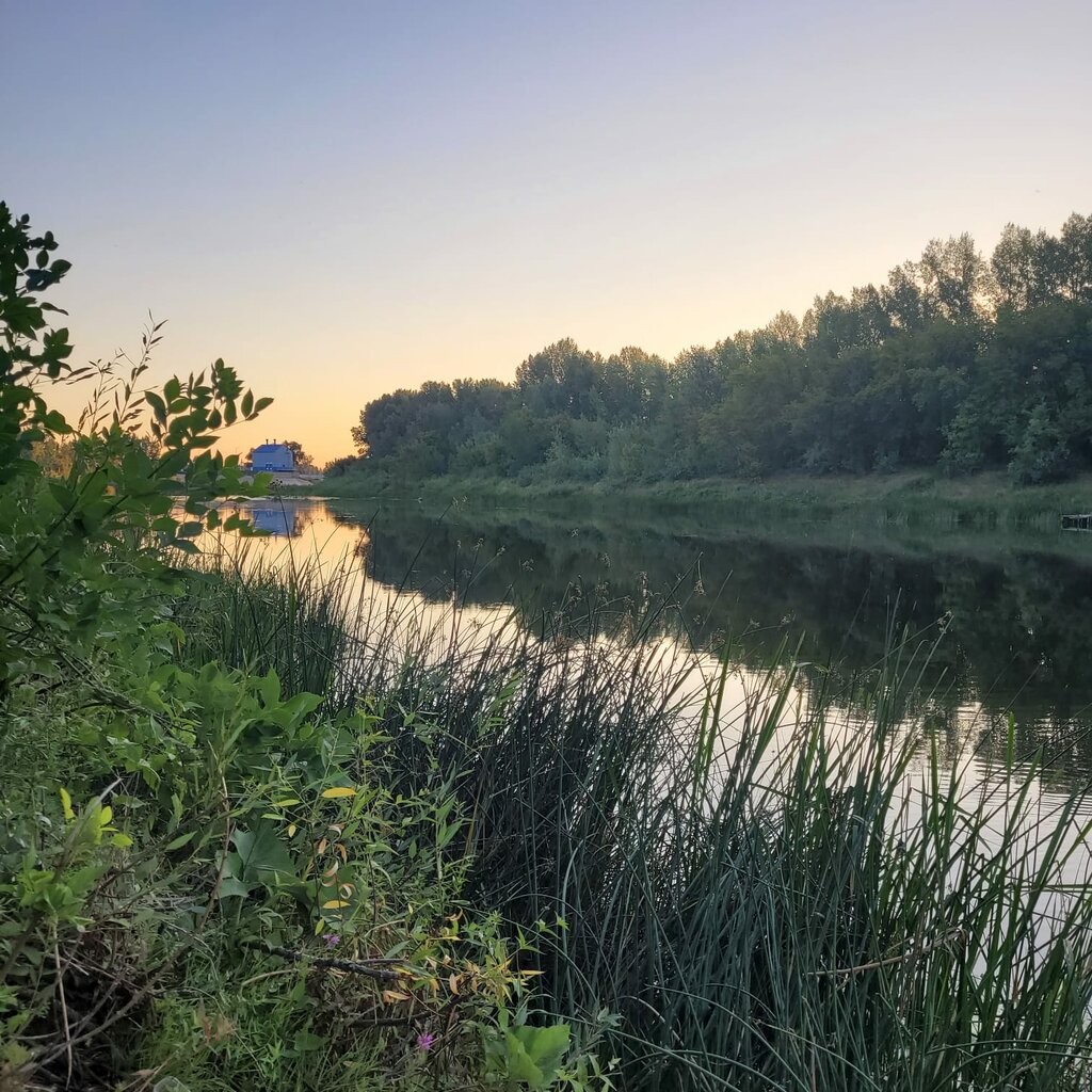 Bahçecilik dernekleri ve kuruluşları Осинки, Orenburg, foto