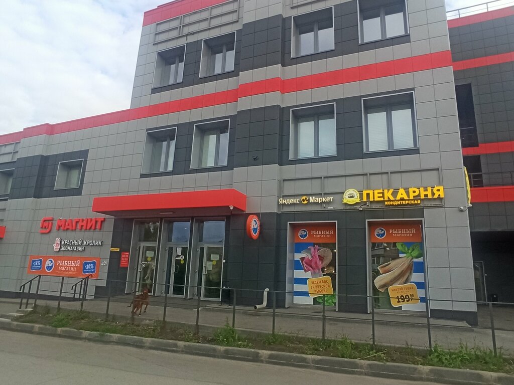 Kurye hizmetleri DPD, Novosibirsk, foto