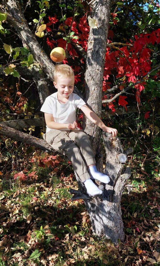 Anaokulları Detsky sad № 84 Alenushka, Mariy El Cumhuriyeti, foto