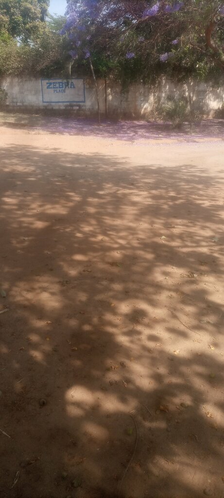 Otel Zebra Guest House, Lusaka, foto
