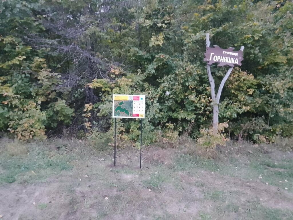 Orman лес Горняшка, Stariy Oskol, foto