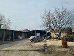 Nurdaulet (Mánshúk Mámetova kóshesі No:185, Shymkent), kereste üretim ve satış şirketleri  Çimkent'ten (Şımkent'ten)