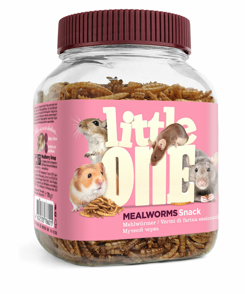 Petshop Simba, Yekaterinburg, foto