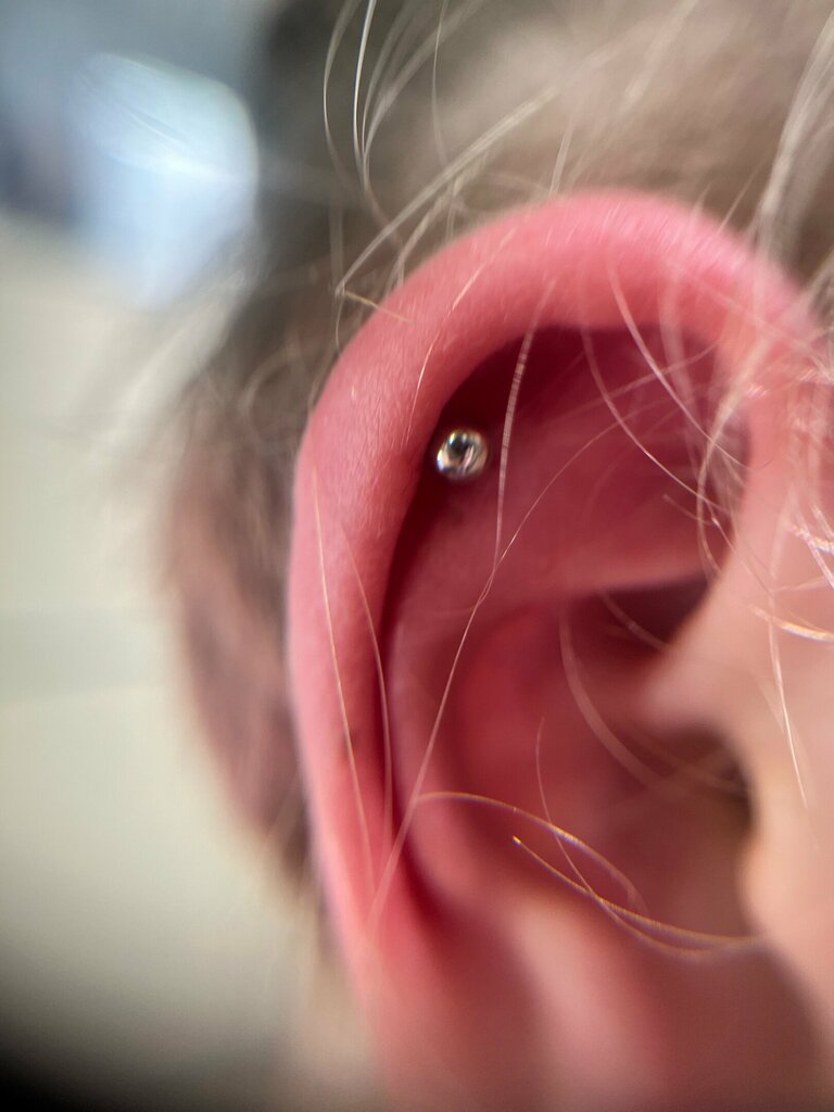 Piercing dükkanı Piercing Microdermal, Vyborg, foto