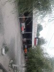Altyn Kiy (Mamyrov Street No:38А), bilardo salonları  Osh'tan