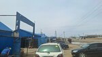 Construction Materials Sales Hangar (Mustafa Shokaya Street No:258), kereste üretim ve satış şirketleri  Kızılorda'dan