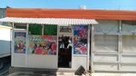 Flower shop (Shymkent, Shoqan Ýálıhanov kóshesi), çiçekçiler  Çimkent'ten (Şımkent'ten)