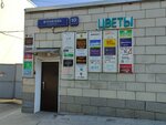 UV-Glass.ru (Zhuravlyova Square No:10с4), cep telefonu aksesuarları  Moskova'dan
