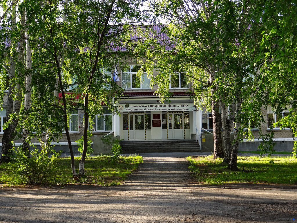 Yüksekokul Gbou Spo Shadrinsky meditsinsky kolledzh, Şadrinsk, foto